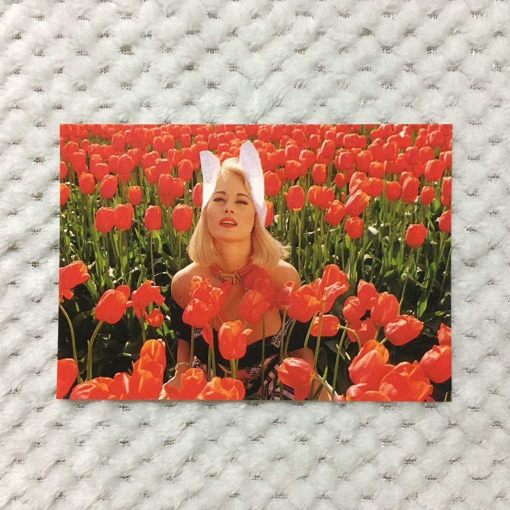 Monique Sluyter – FOREVER COLPO GROSSO & TUTTI FRUTTI