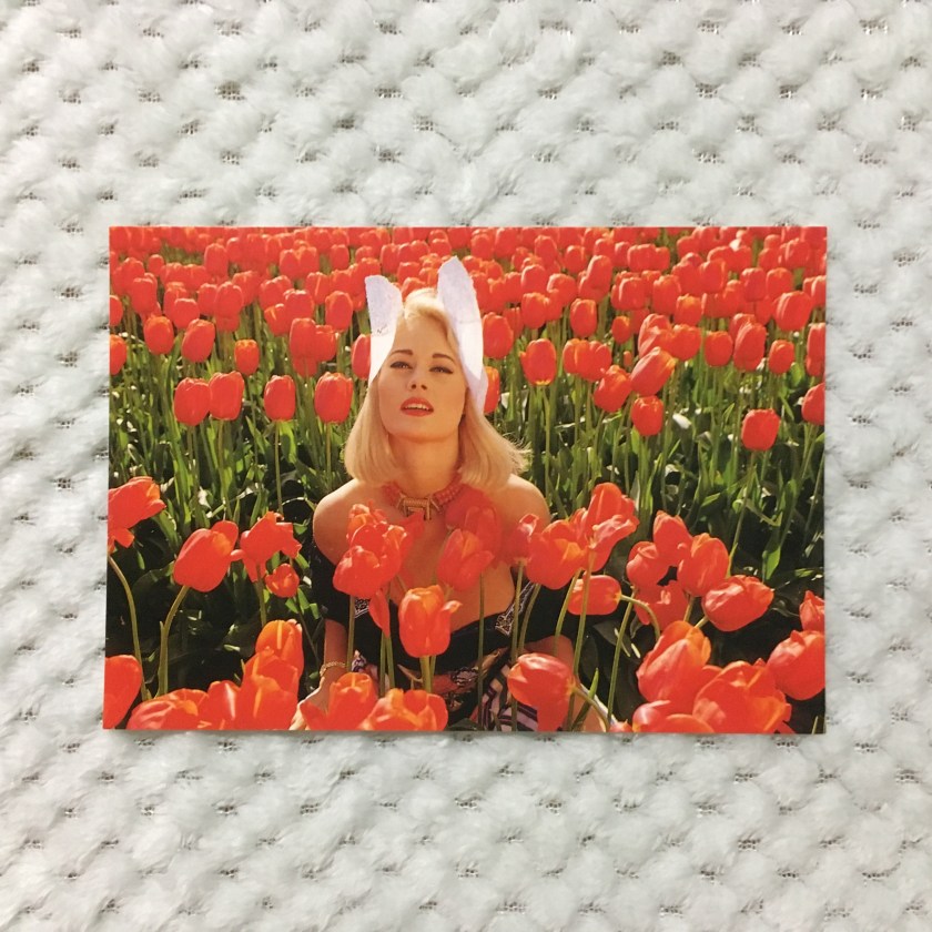 Monique Sluyter – FOREVER COLPO GROSSO & TUTTI FRUTTI